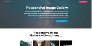 Image plug-ins - Free and premium for Wordpress - CodedThemes
