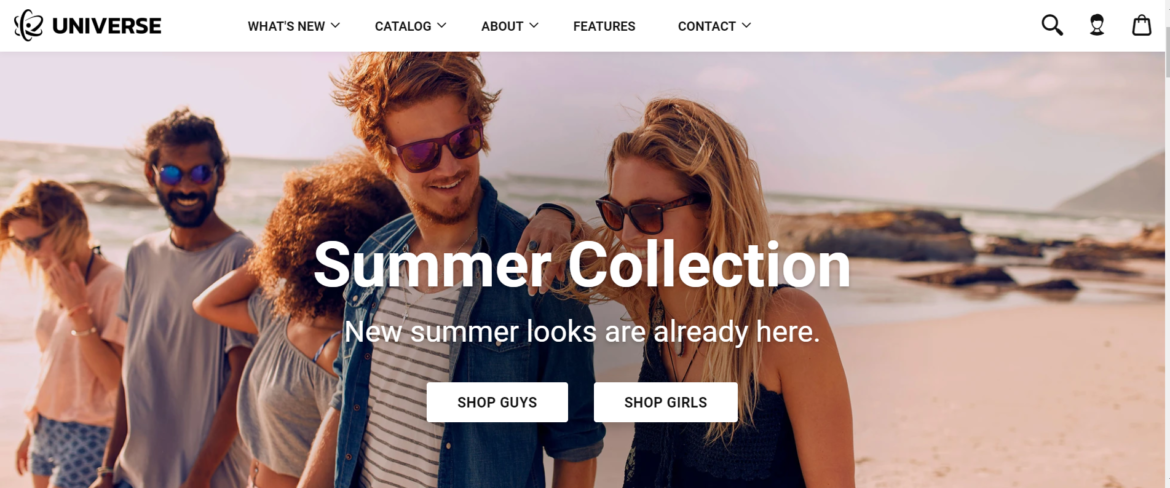 Most popular Shopify themes for website