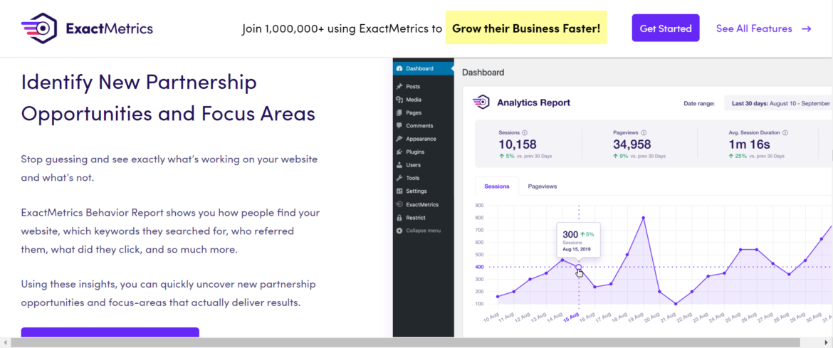 Top 10 Analytic solution for website