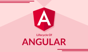 what is Lifecycle Of Angular